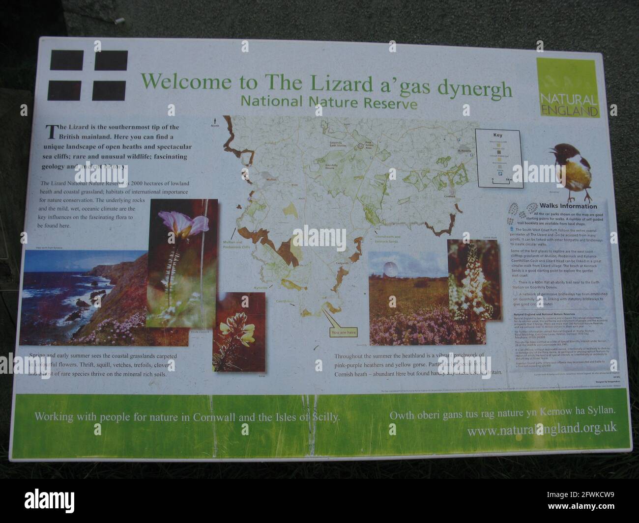 Welcome to the Lizard information board. The Lizard village. South west ...