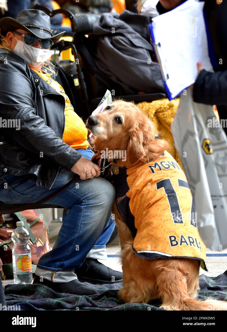 Dog football shirt hi-res stock photography and images - Alamy