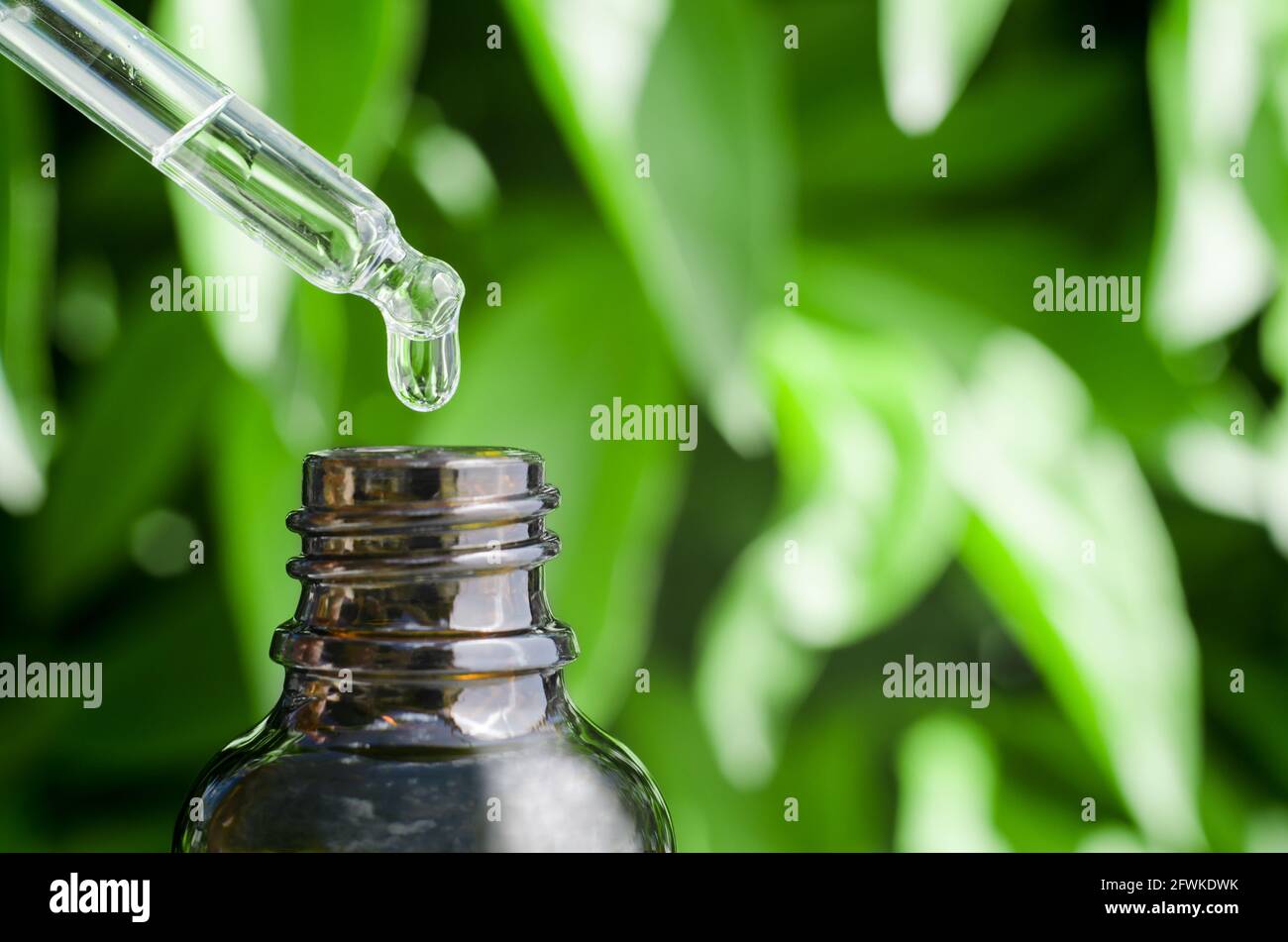 Close-up of a pipette dripping into a bottle. Dropper with hyaluronic ...