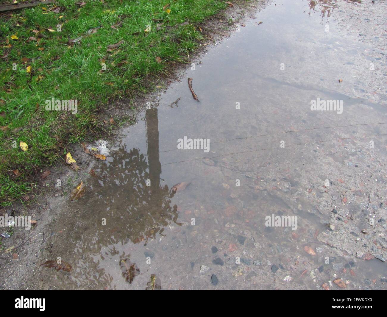 A puddle on a concrete road next to green grass Stock Photo - Alamy