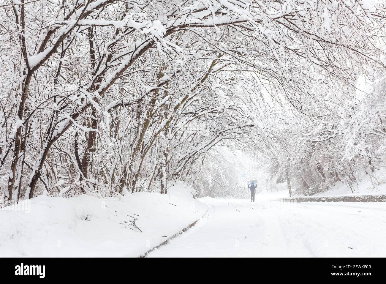 Qinling snow mountain hi-res stock photography and images - Alamy
