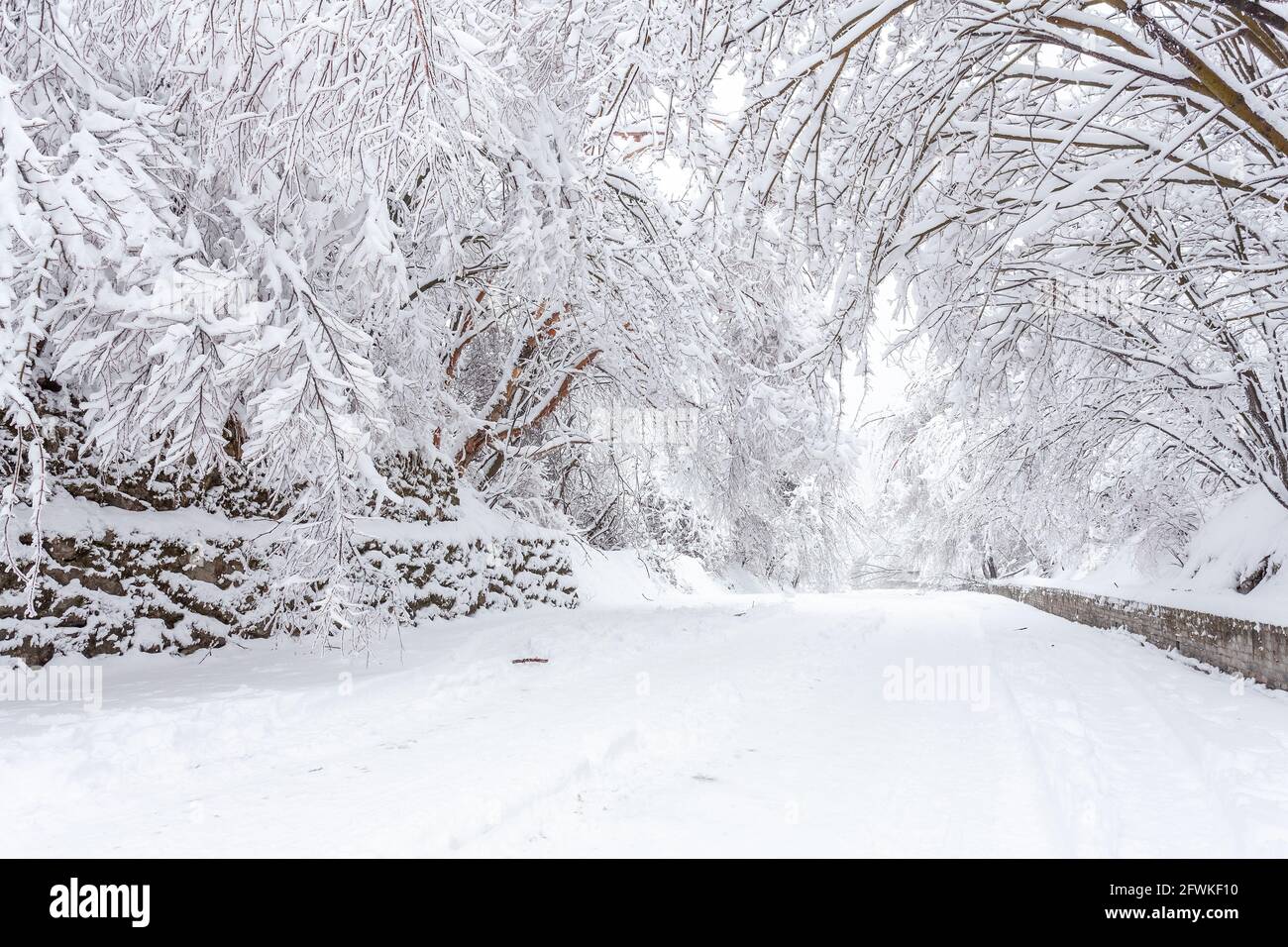 Qinling snow mountain hi-res stock photography and images - Alamy