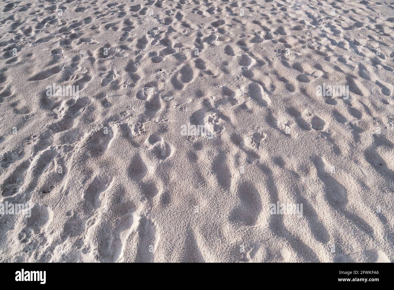 White Sand Beach Texture