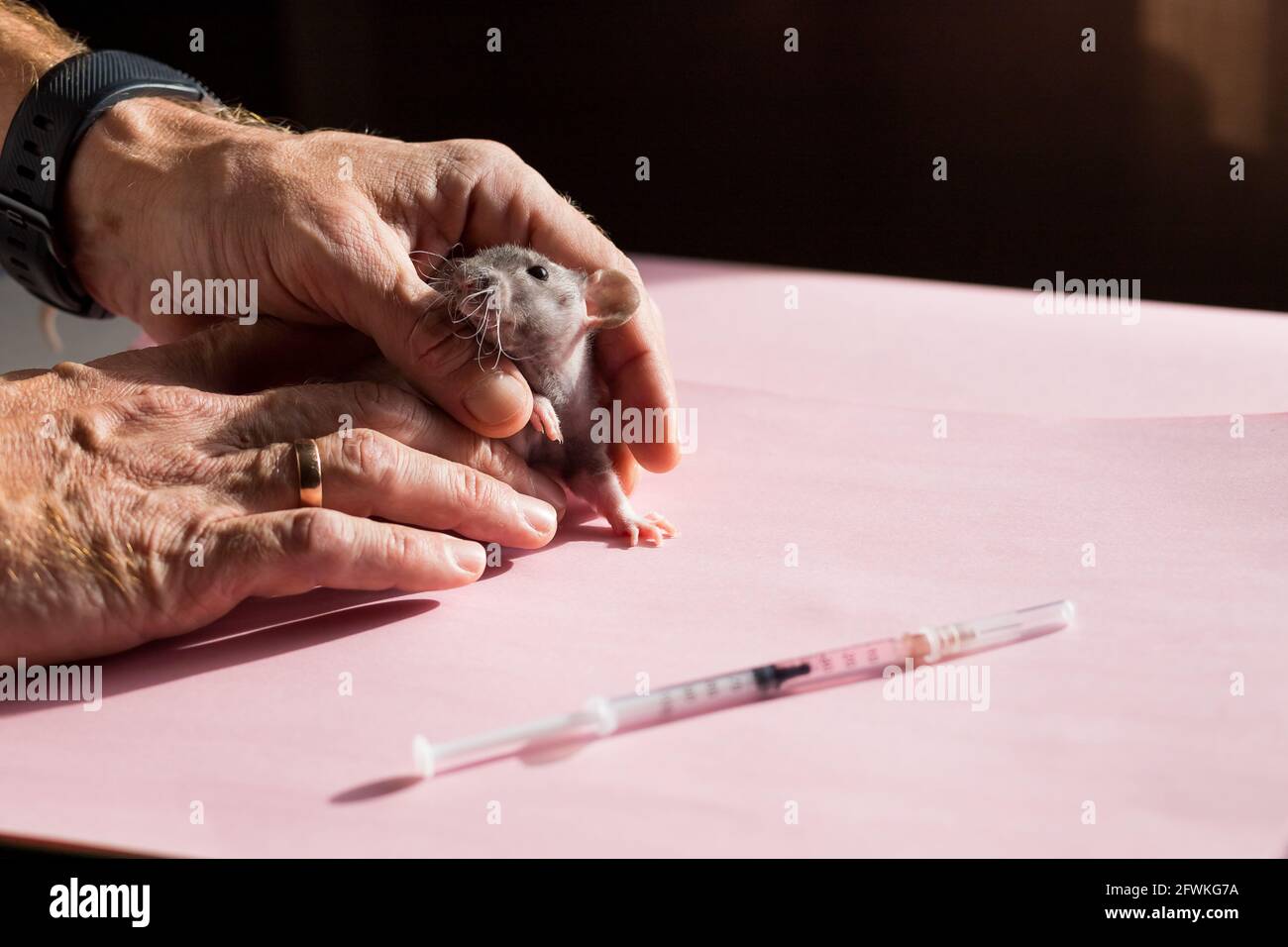 Subcutaneous Injection High Resolution Stock Photography and Images - Alamy