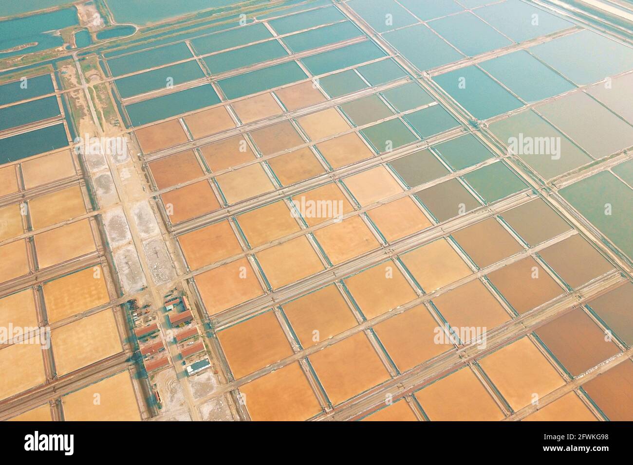 BINZHOU, CHINA - MAY 23, 2021 - Aerial view of a large area of harvest ...