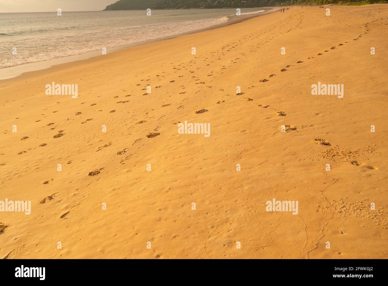 Detail texture of sand Sea sun beach for relax in holiday Sunny summer ...