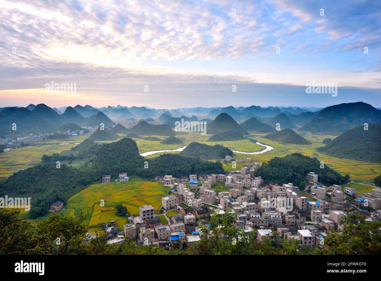 The golden rice fields Stock Photo - Alamy