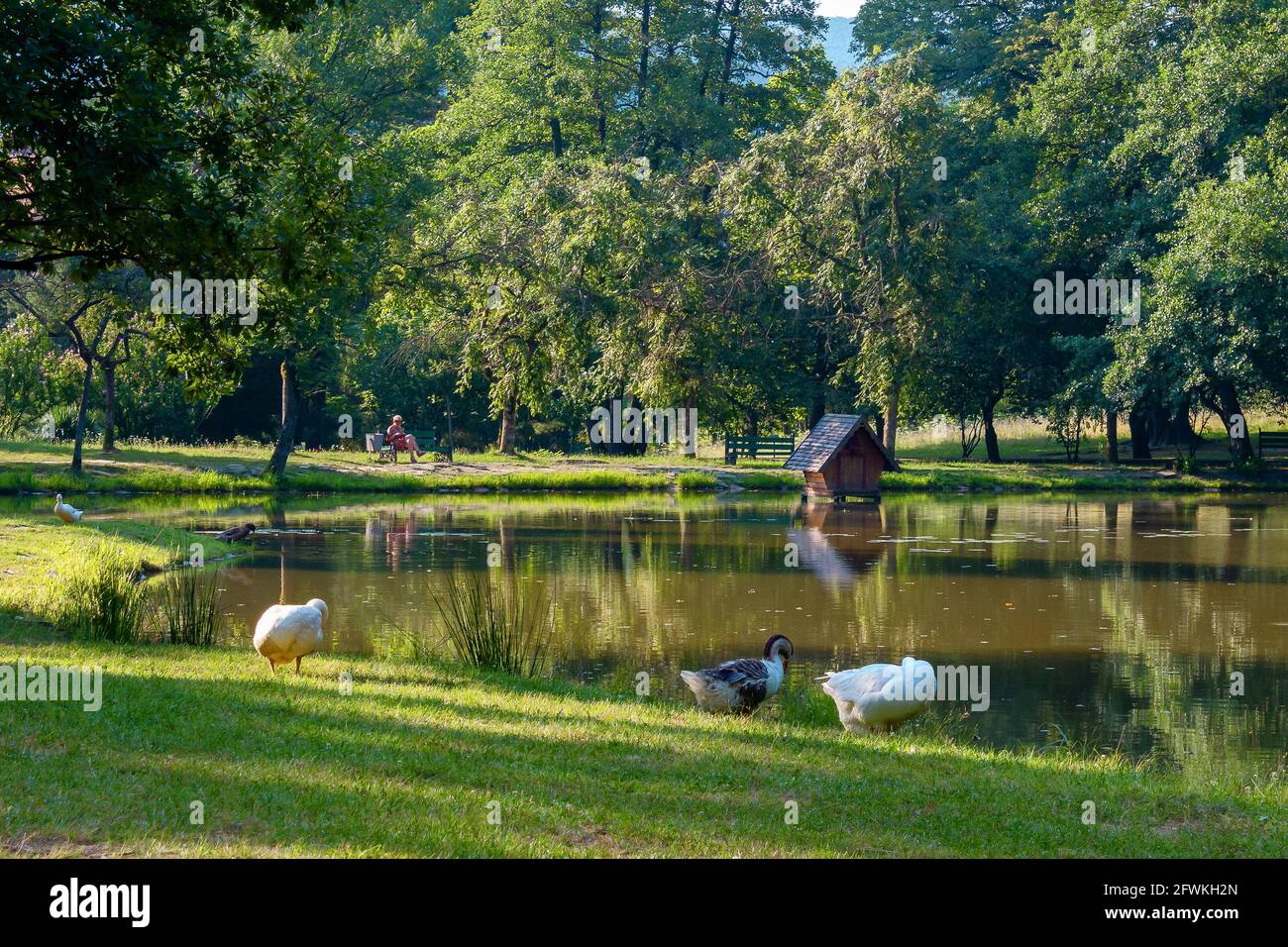 Recreation zone hi-res stock photography and images - Alamy