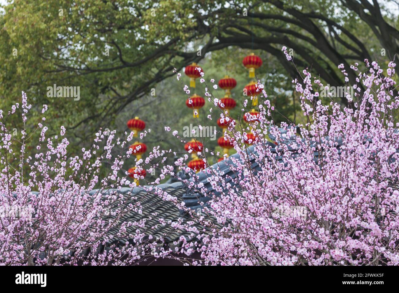 Jiangnan gardens - li garden Stock Photo - Alamy