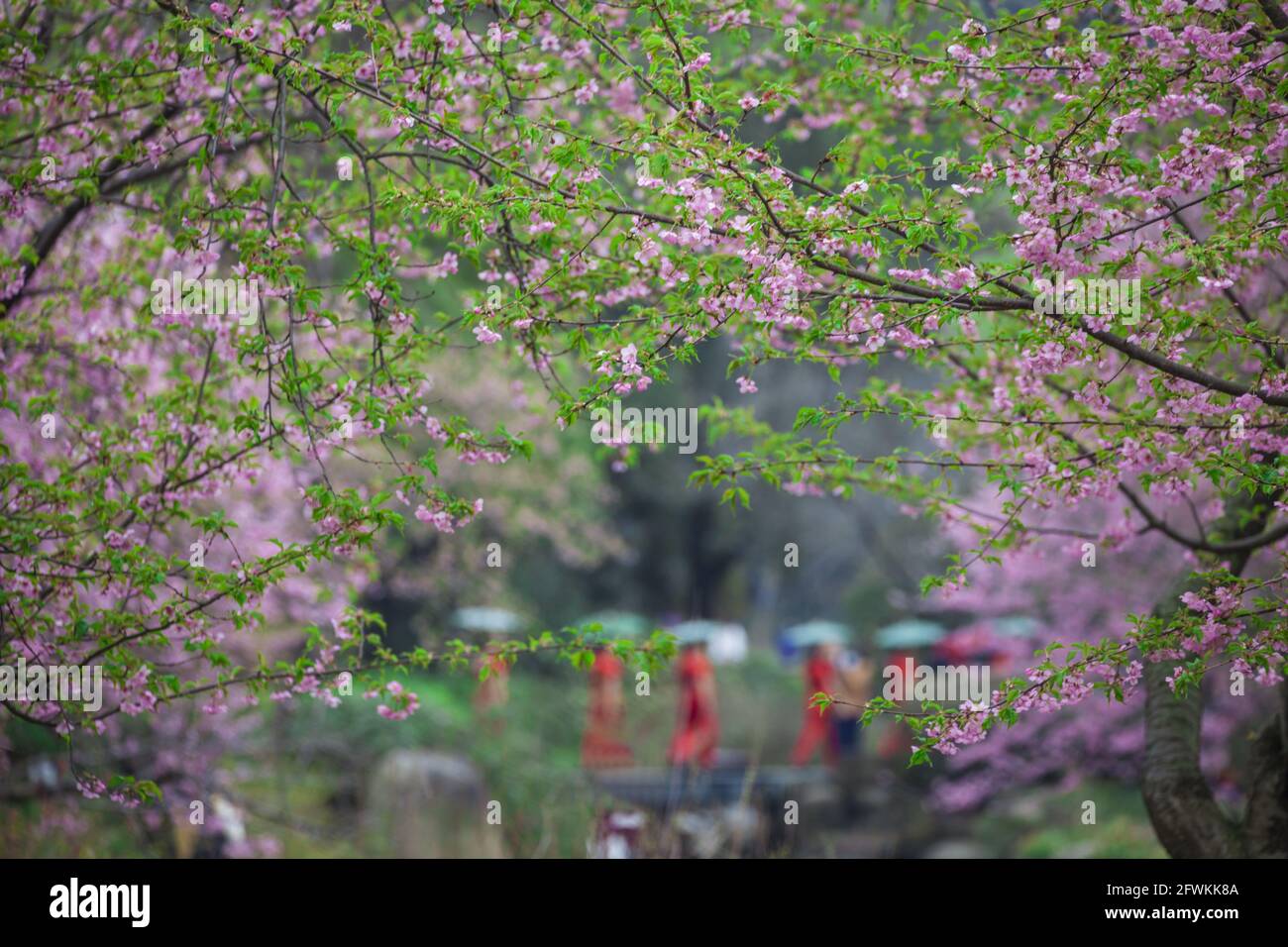 Jiangnan famous scenic spot - the turtle head isle Stock Photo - Alamy