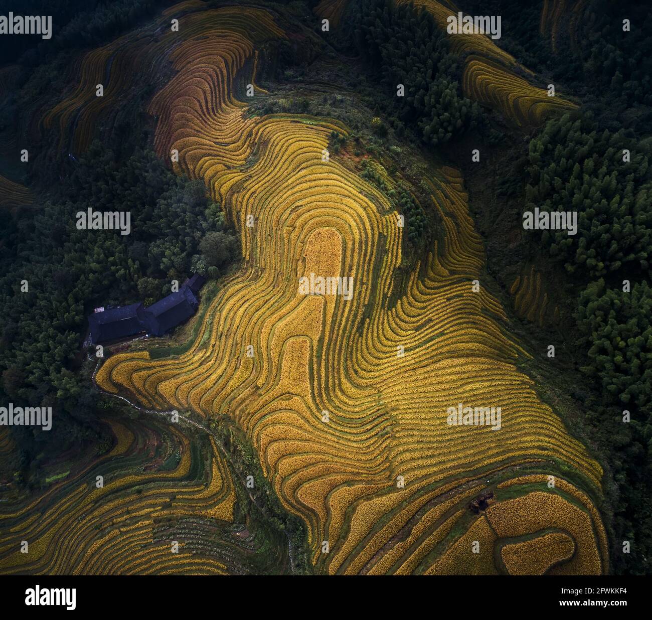 Golden dragon ridge "1 Stock Photo - Alamy