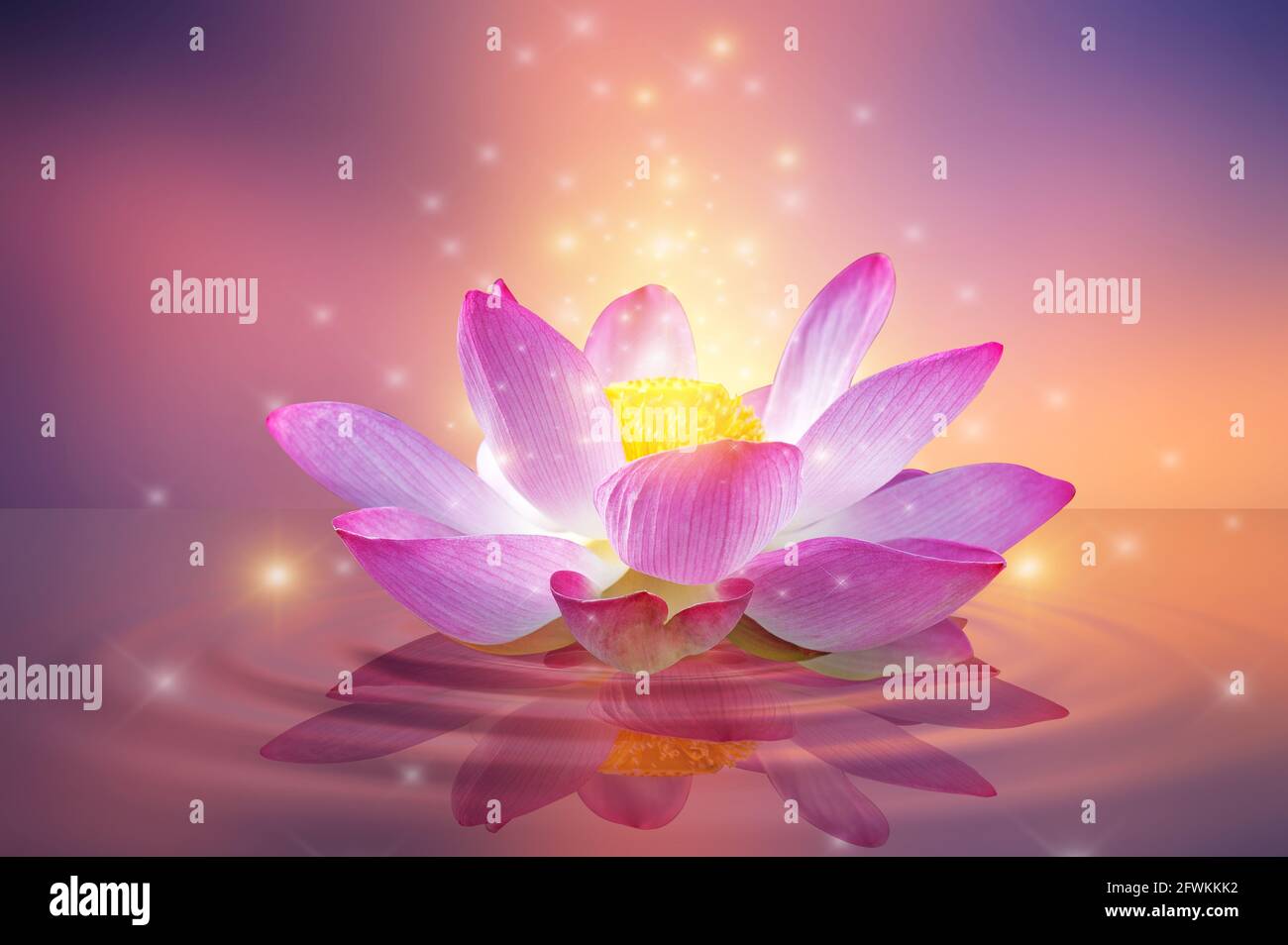 Collectibles Figurines & Knick Knacks River Blue/Gray Sparkling Lotus ...