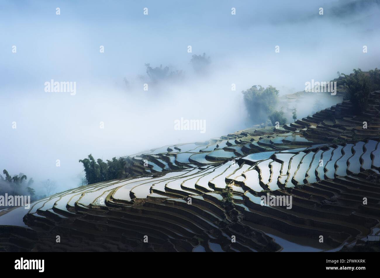 Yuan Yang terraces Stock Photo - Alamy