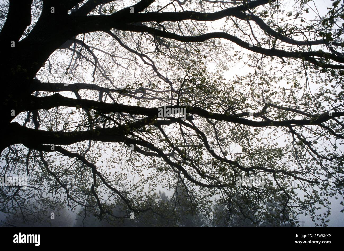 Formas naturaleza hi-res stock photography and images - Alamy