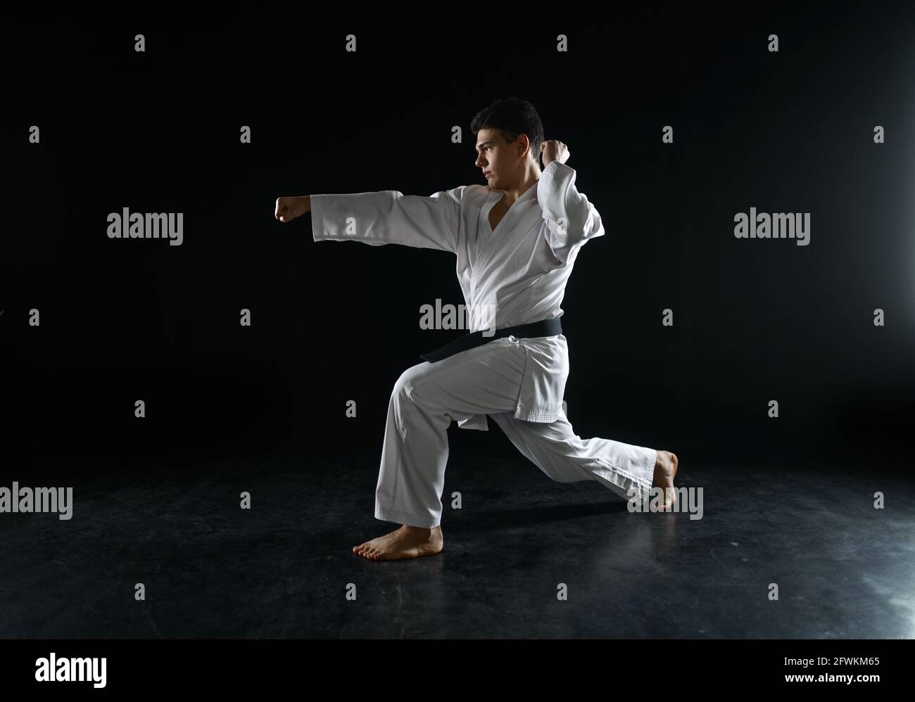 Male karate fighter in a combat stance Stock Photo - Alamy