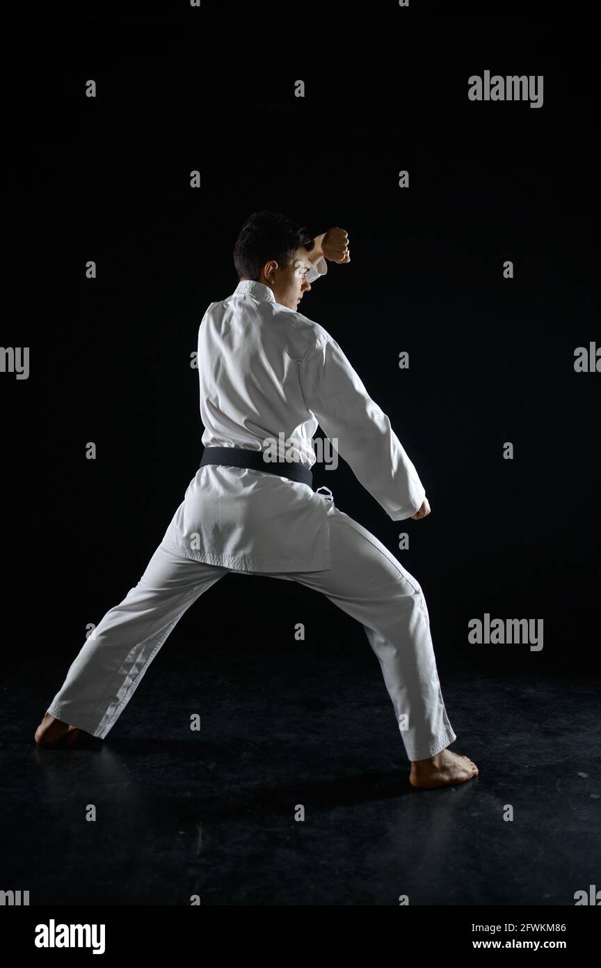 Male karate fighter in a combat stance Stock Photo - Alamy