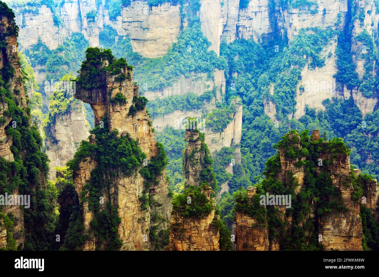 Hunan zhangjiajie national forest park Stock Photo - Alamy