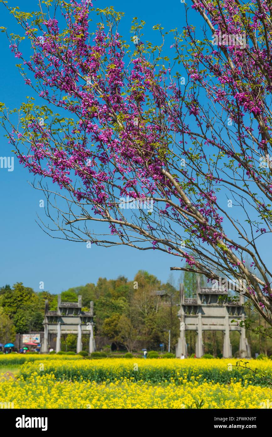 Huangshan city rapidly siu-tong with village scenery Stock Photo - Alamy
