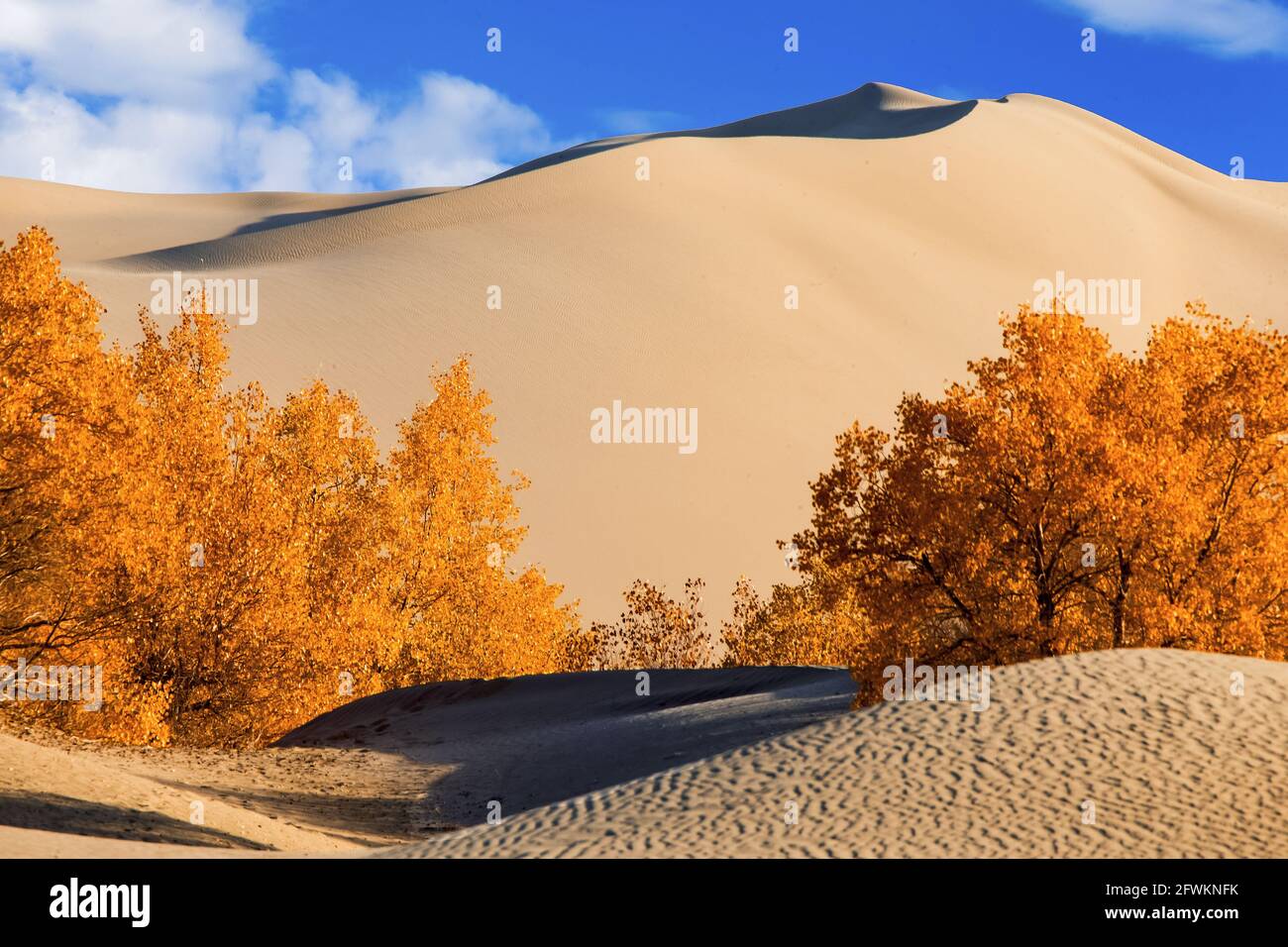 Taklamakan desert hi-res stock photography and images - Alamy
