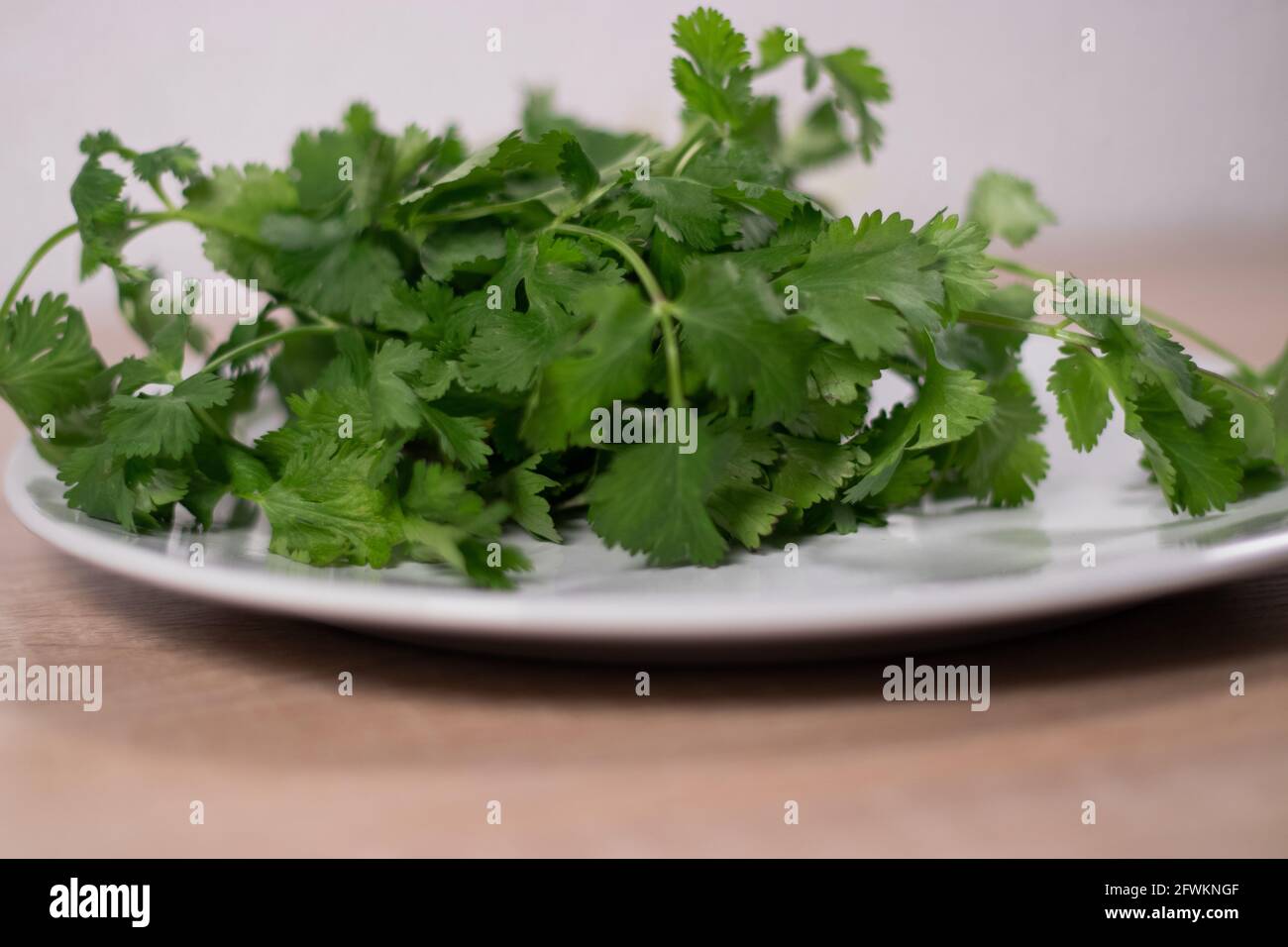 Chinese parsley hi-res stock photography and images - Alamy