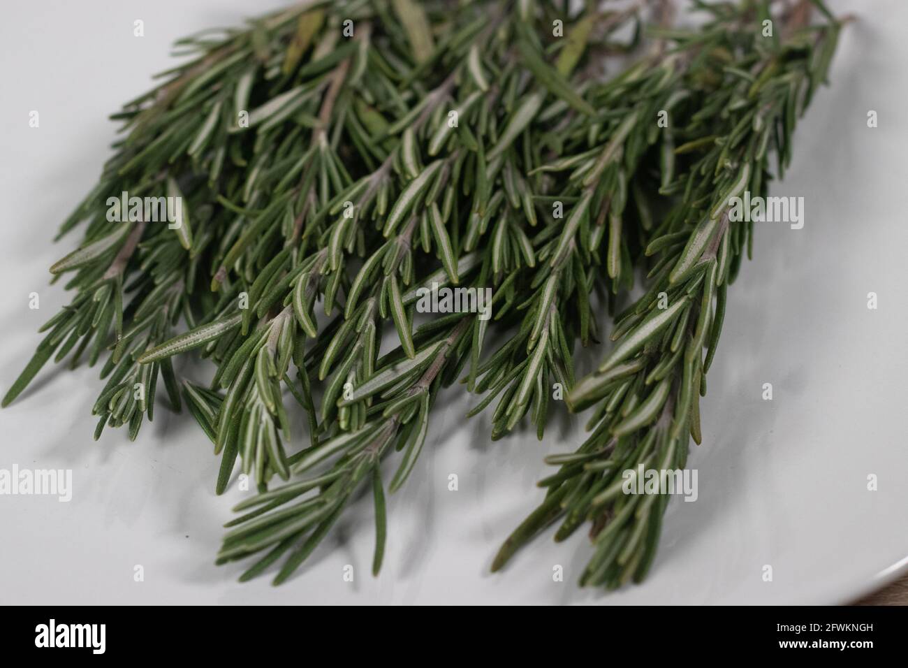 Rosemary texture hi-res stock photography and images - Alamy
