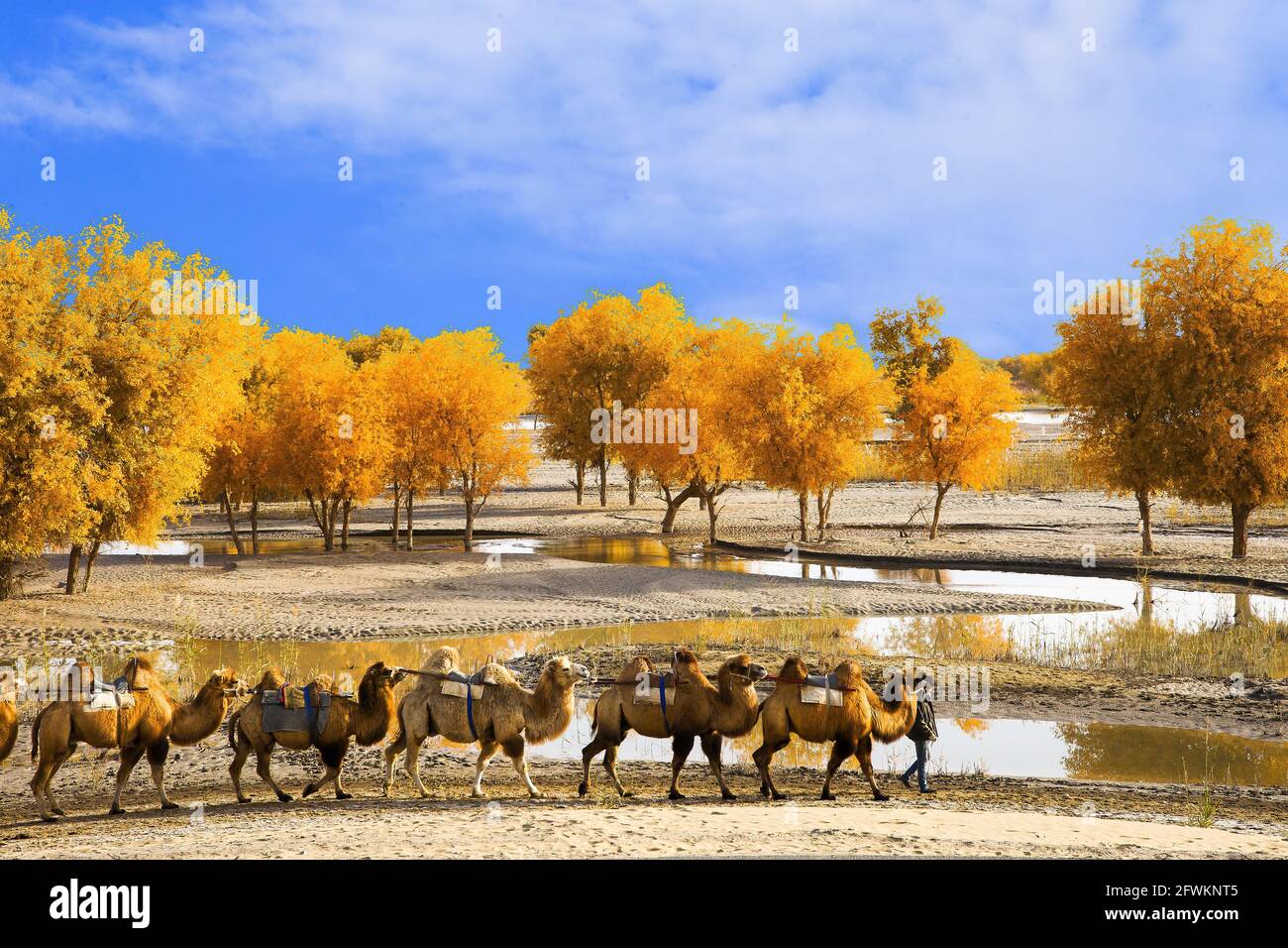 Xinjiang Luo Buren village Stock Photo - Alamy