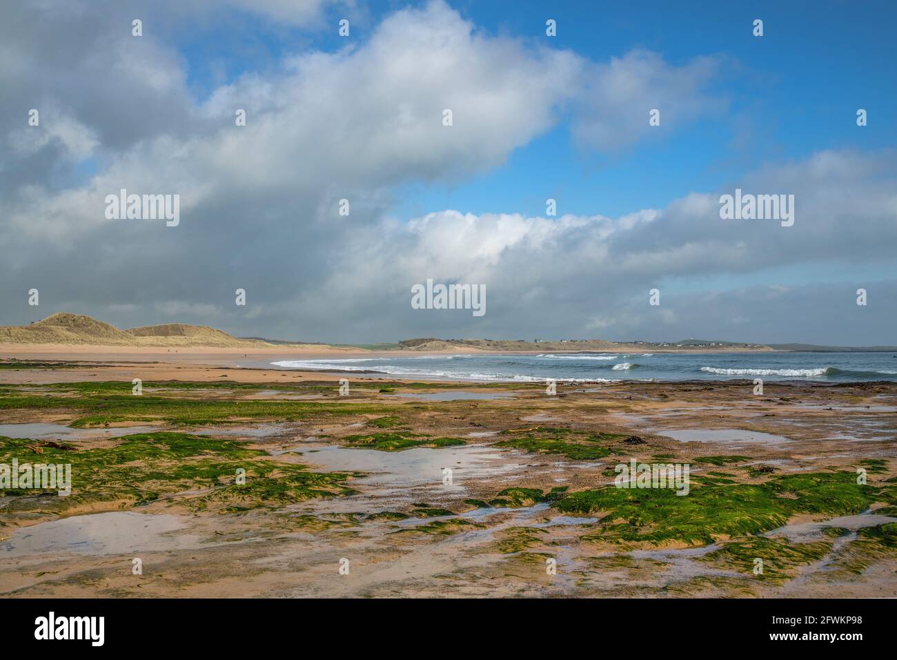 Embleton bay beach in Northumberland near Alnwick and Bamburgh cast ...