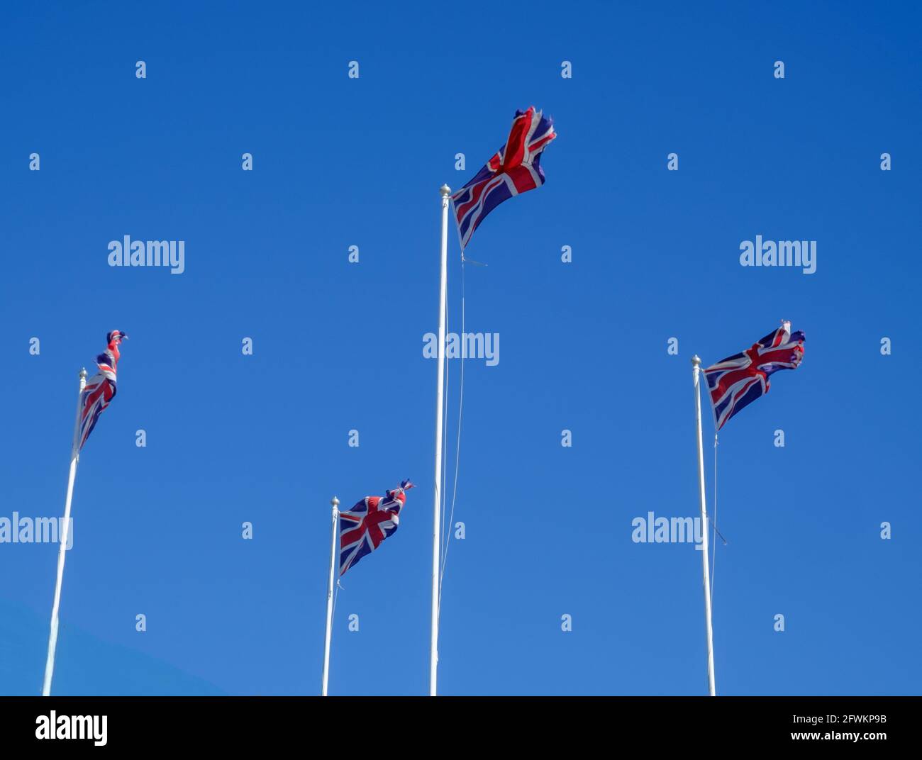 Four British Flags blowing in the wind on flag poles against a bright ...