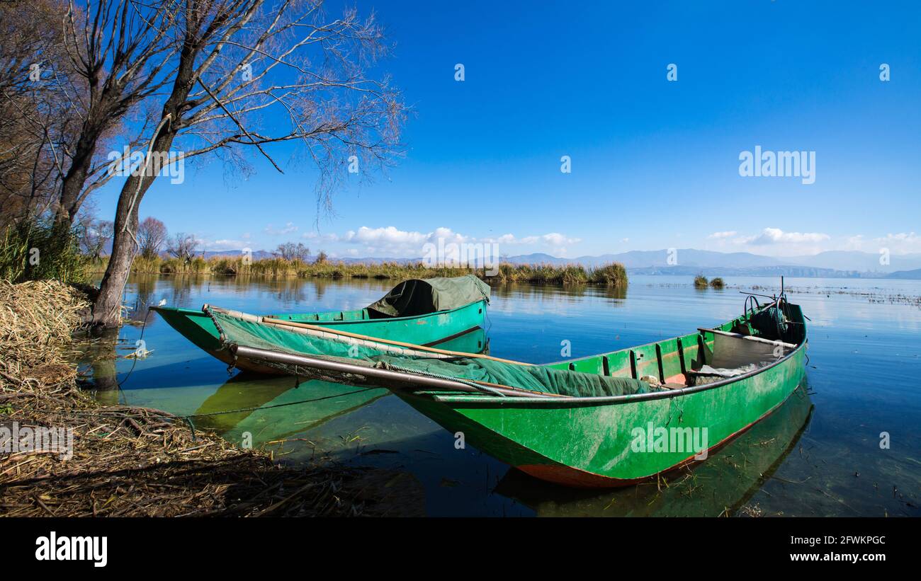 Dali ship hi-res stock photography and images - Alamy