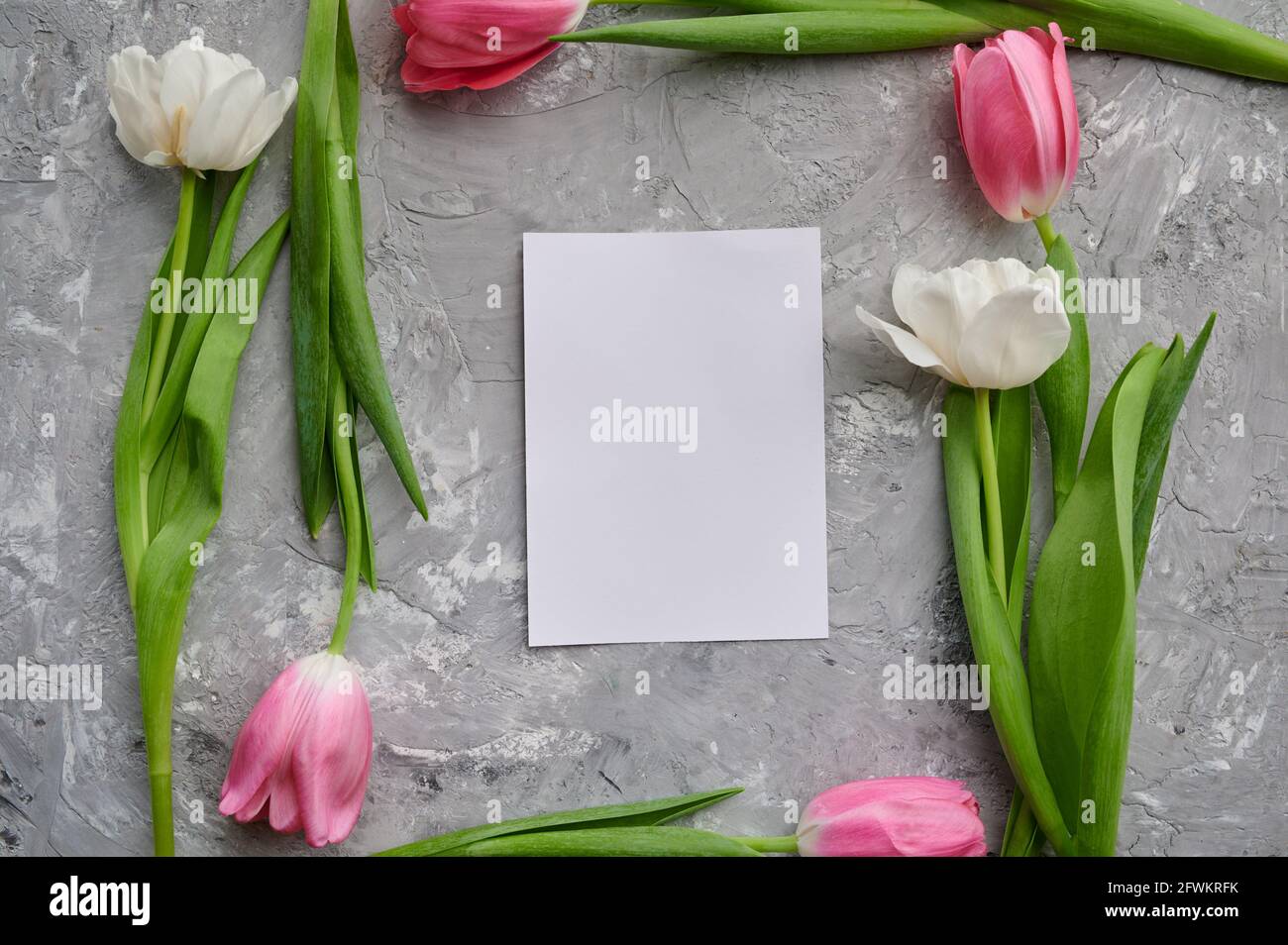Grey green frame hi-res stock photography and images - Alamy