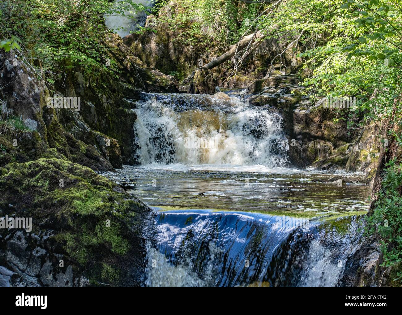 Ingleton Waterfalls Trail, Yorkshire Dales, England, UK Stock Photo - Alamy