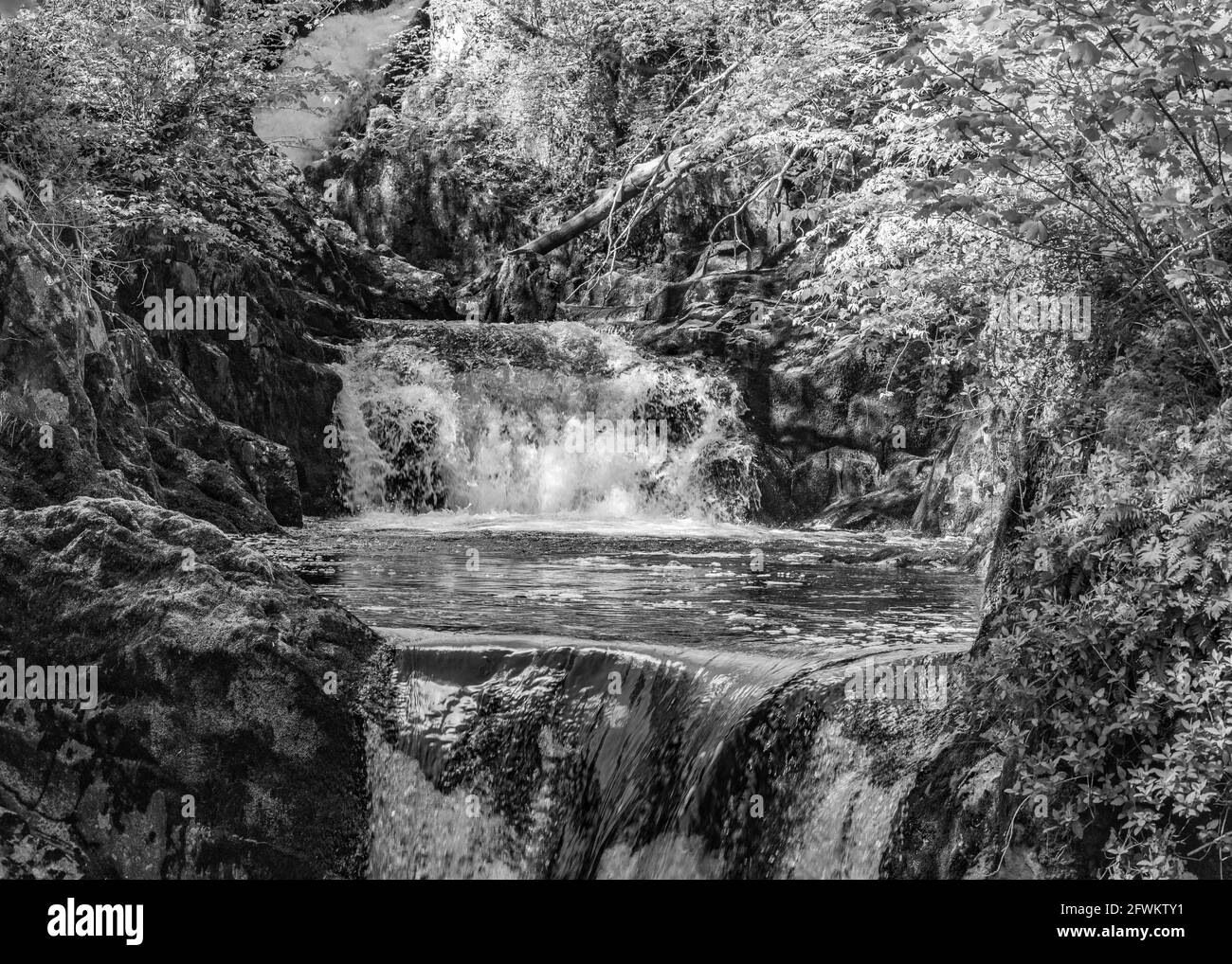 Ingleton Waterfalls Trail, Yorkshire Dales, England, UK Stock Photo - Alamy
