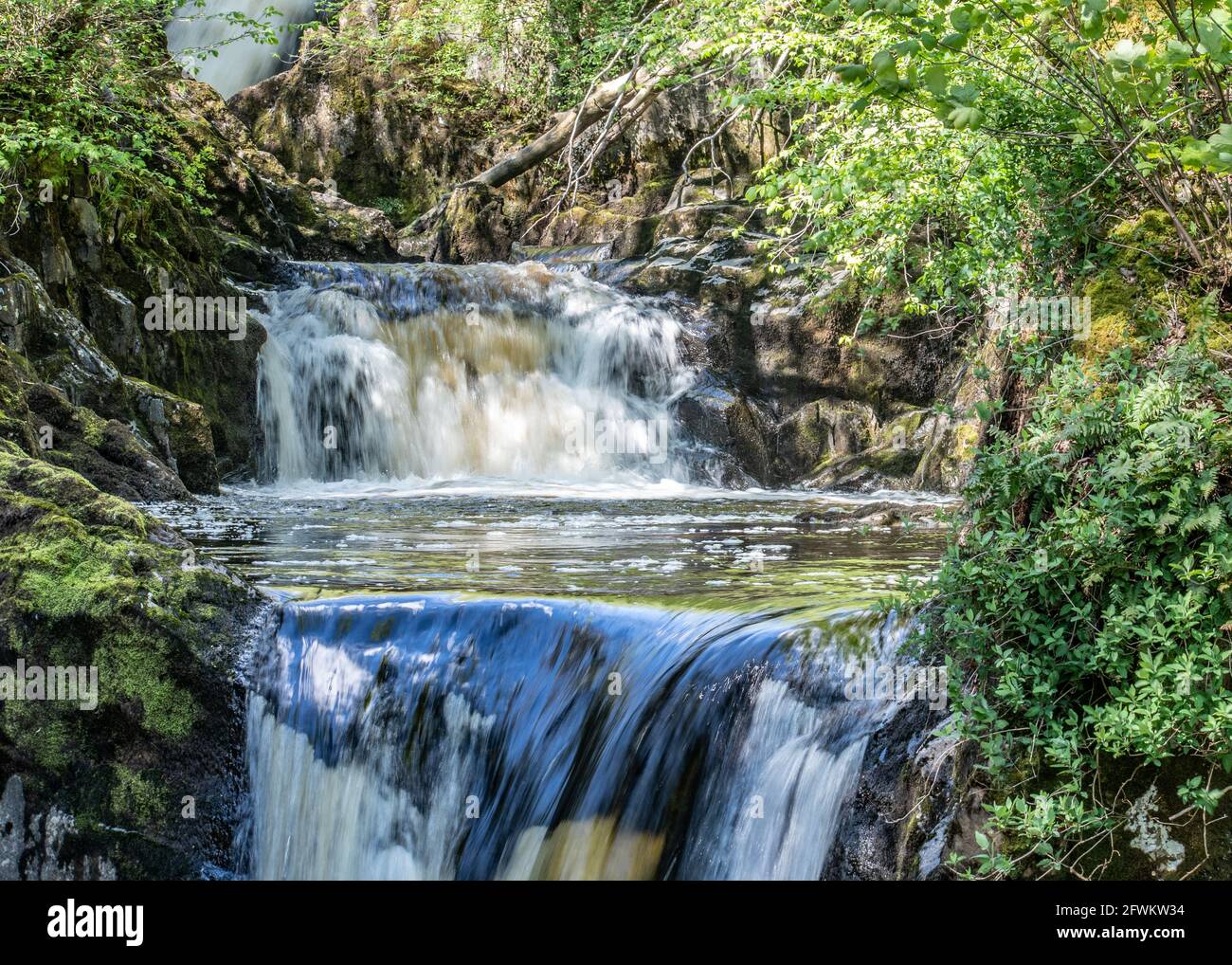 Ingleton Waterfalls Trail, Yorkshire Dales, England, UK Stock Photo - Alamy