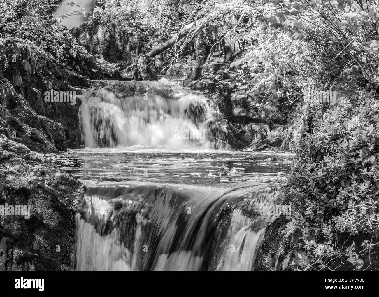 Ingleton Waterfalls Trail, Yorkshire Dales, England, UK Stock Photo - Alamy