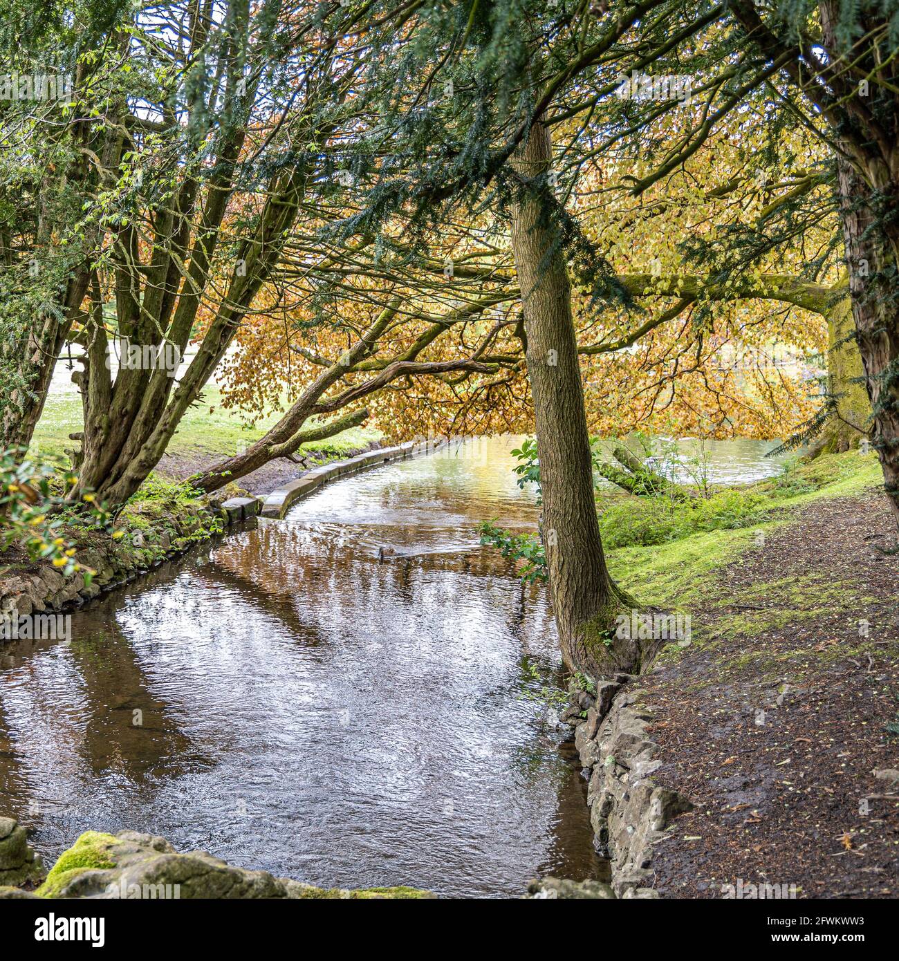 Edward north buxton hi-res stock photography and images - Alamy