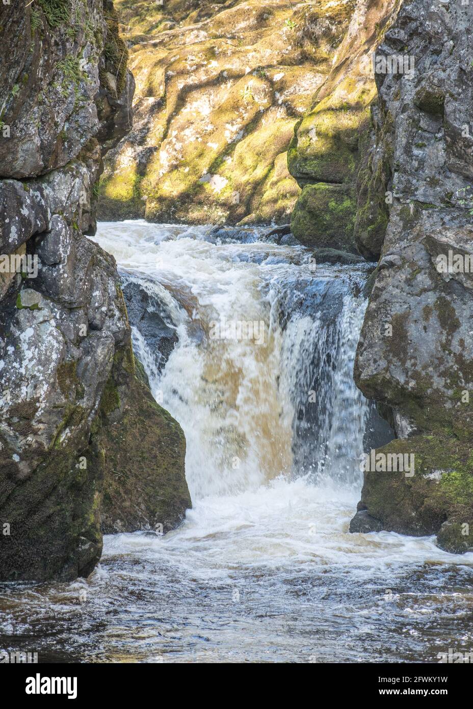 Ingleton Waterfalls Trail, Yorkshire Dales, England, UK Stock Photo - Alamy