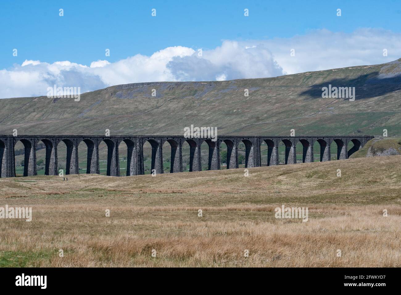 Ribblehead Viaduct, Yorkshire Dales, UK Stock Photo - Alamy