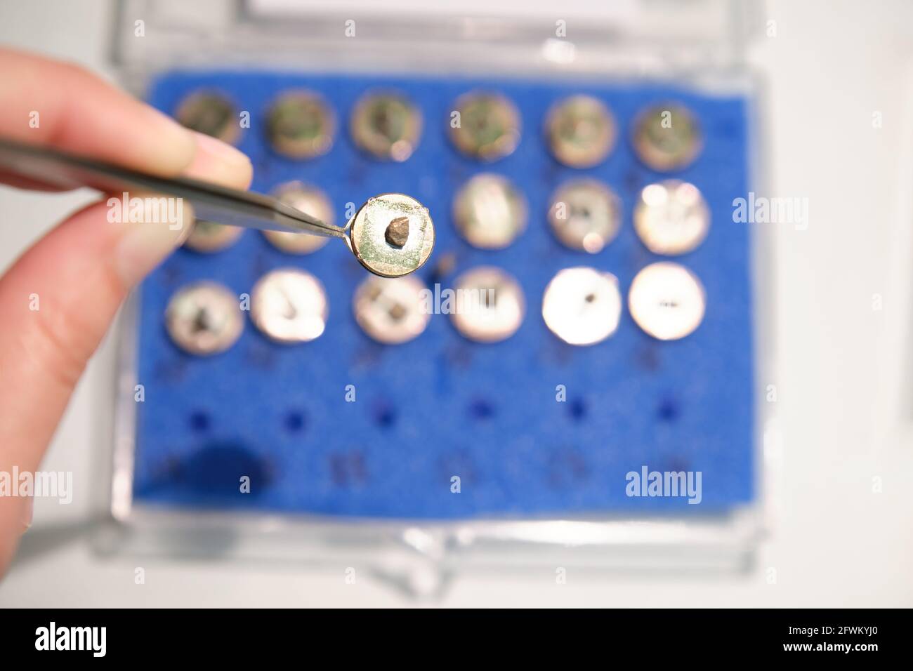 Scientific hand holding a tweezers with a scanning electron microscope ...