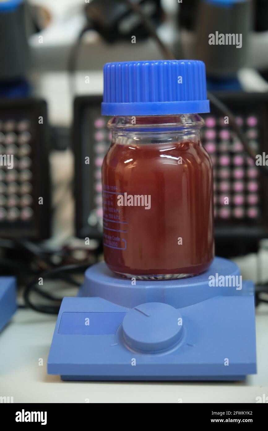 Photobacterium hi-res stock photography and images - Alamy