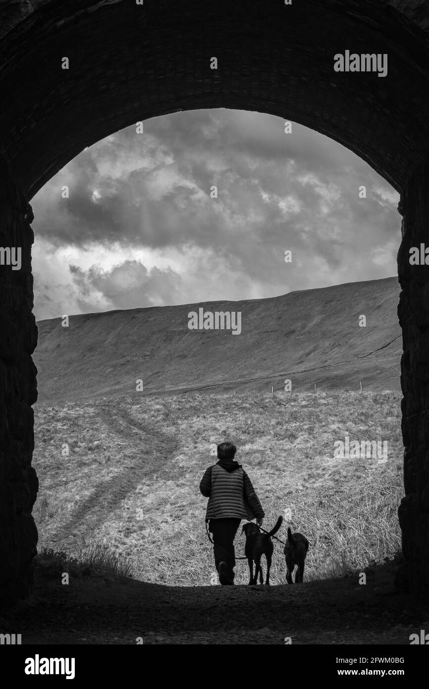 Ribblehead railway bridge Black and White Stock Photos & Images - Alamy