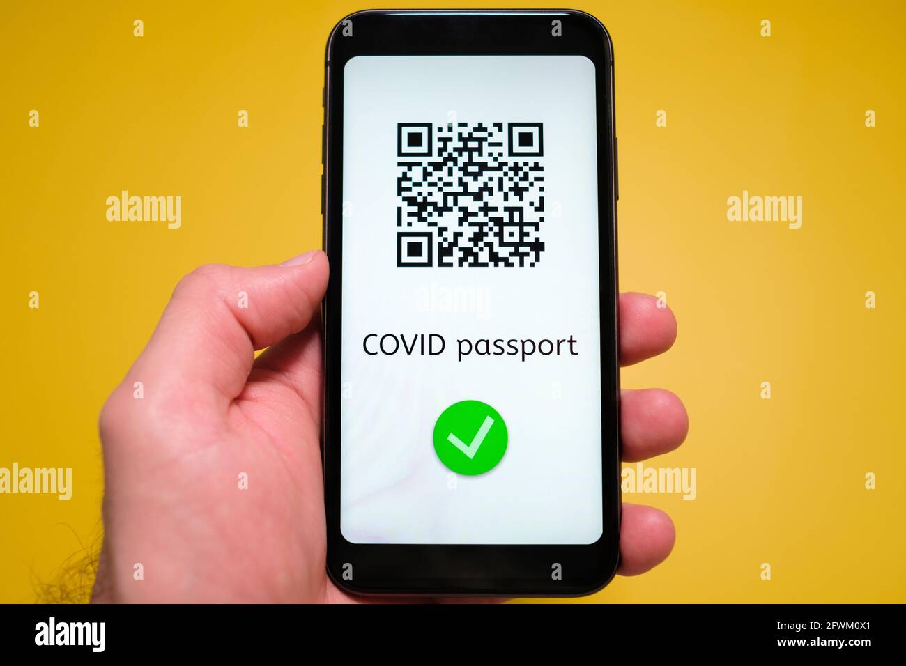 Covid pass with QR code on the screen in smartphone in mans hand on the ...