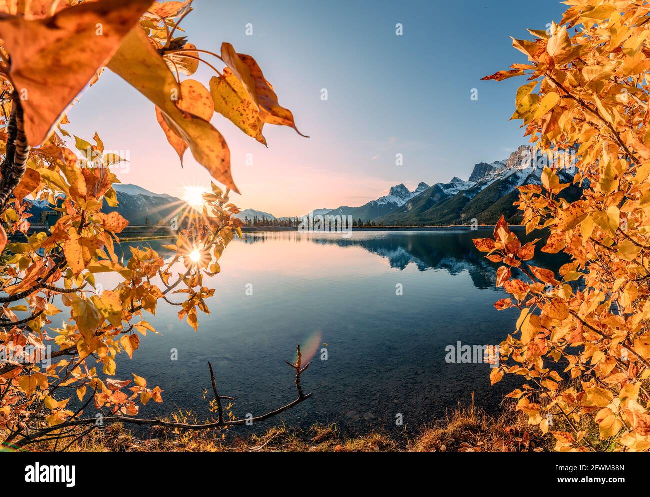 Sunrise on mountain range and golden leaves covered in Rundle Forebay ...