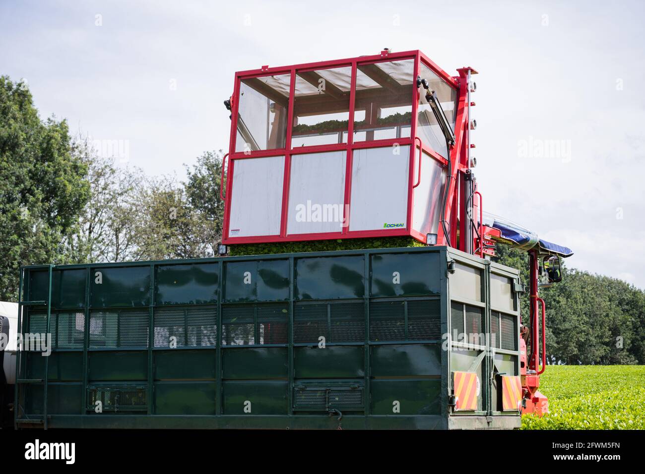 Tea Leave Farm Estate Plantation Plucking Machine Harvester At The ...