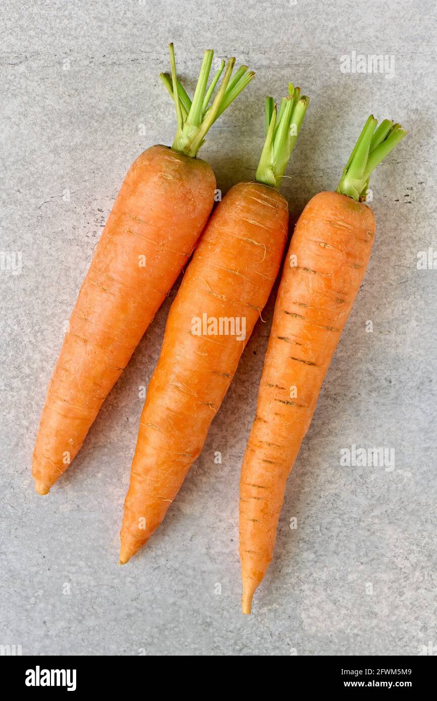 Botwa hi-res stock photography and images - Alamy