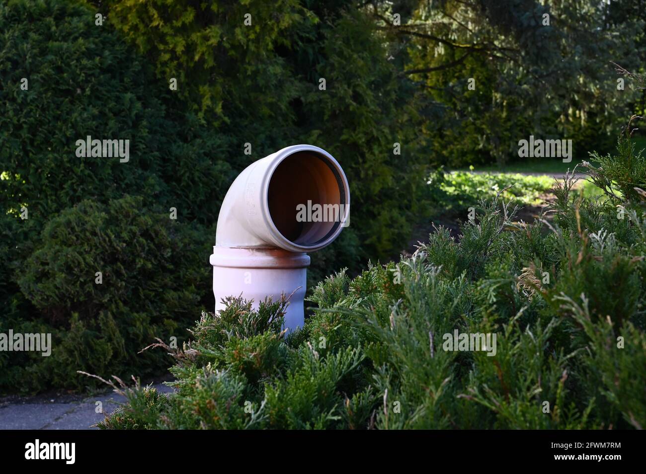 Rectangular plastic tube with open end in a thuja field Stock Photo - Alamy