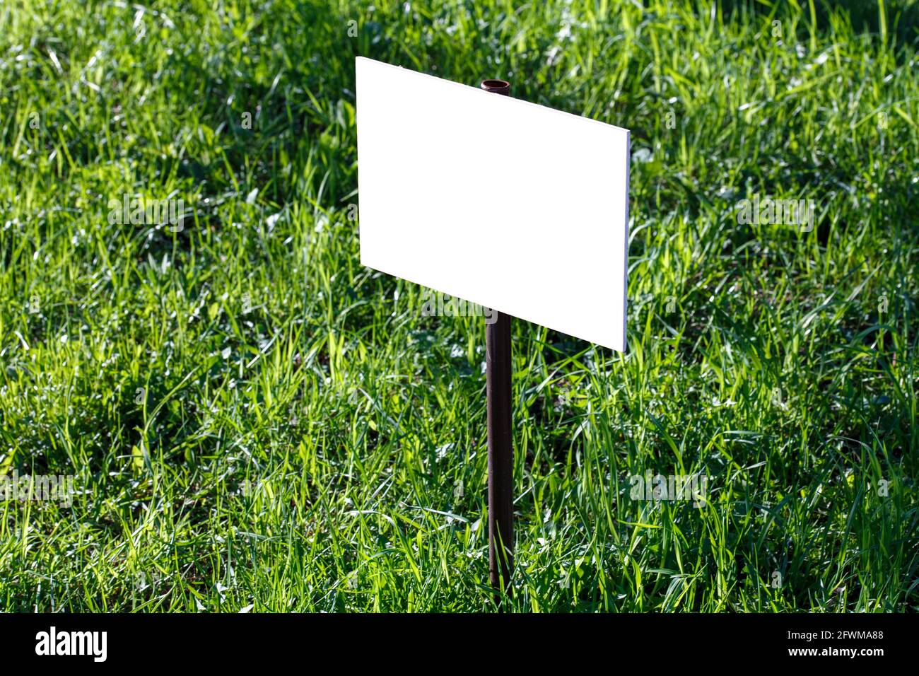 blank white one-legged sign mockup on green lawn background - close-up ...