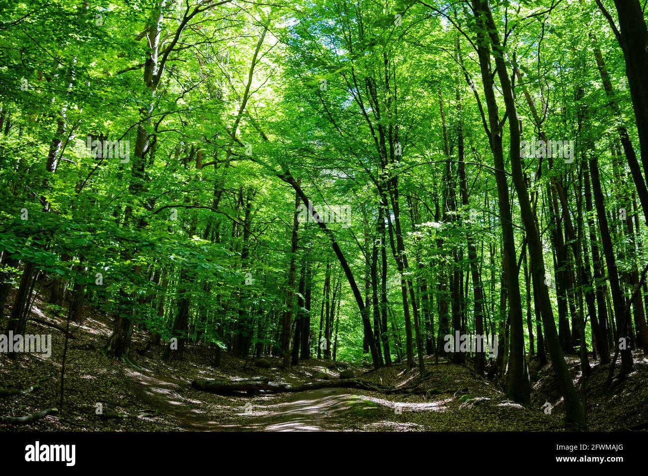 Springtime hiking hi-res stock photography and images - Alamy