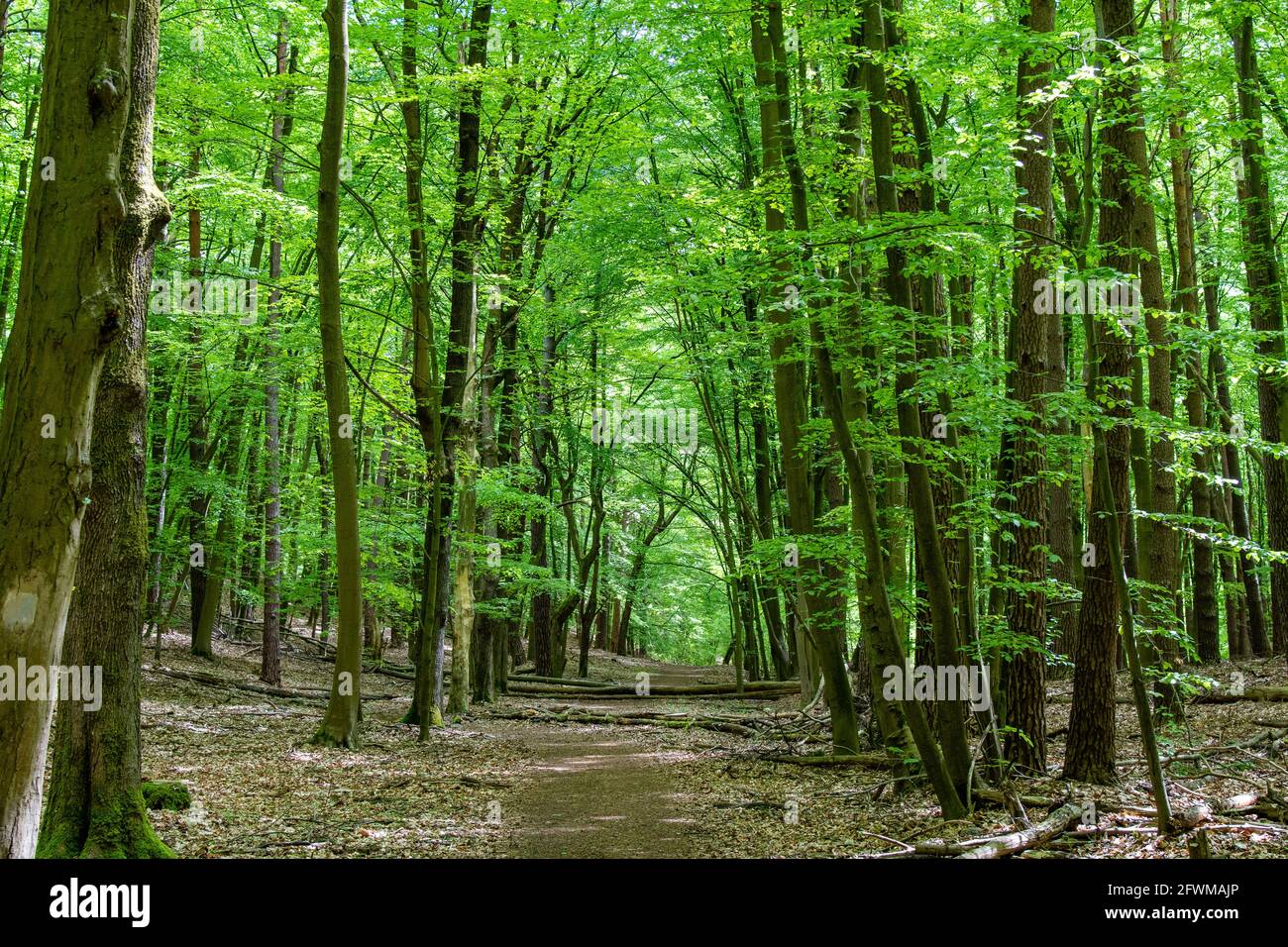 Springtime hiking hi-res stock photography and images - Alamy