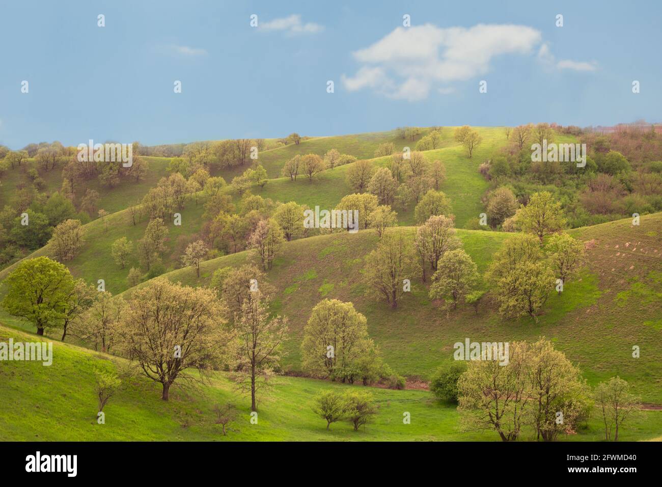 Amazing landscape with green wavy hills. Idyllic panorama with rolling ...