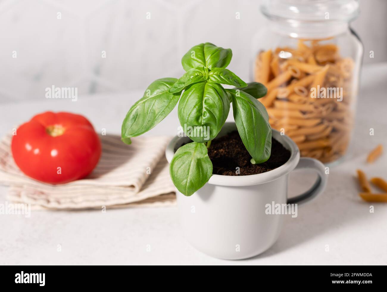 Potted basil plant and food ingredients on kitchen table Stock Photo ...